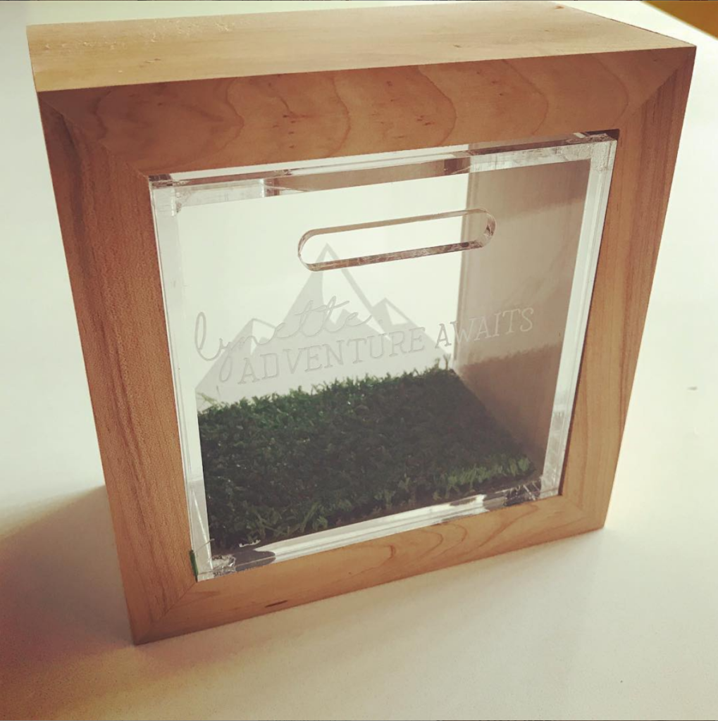 Acrylic Artwork Frames - Lovecoco